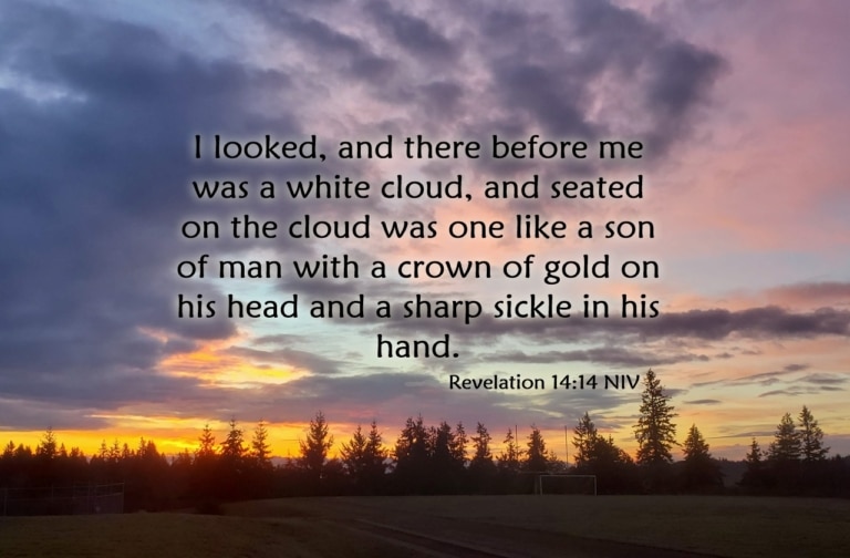 Harvesting the Earth - Revelation 14:14-16 - A Clay Jar